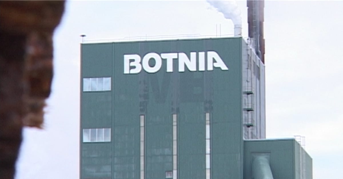 Botnia aloittaa taas selluntuotannon | Yle