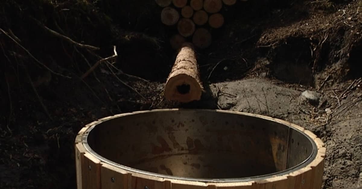 Terva on erityisen suomalainen asia | Yle