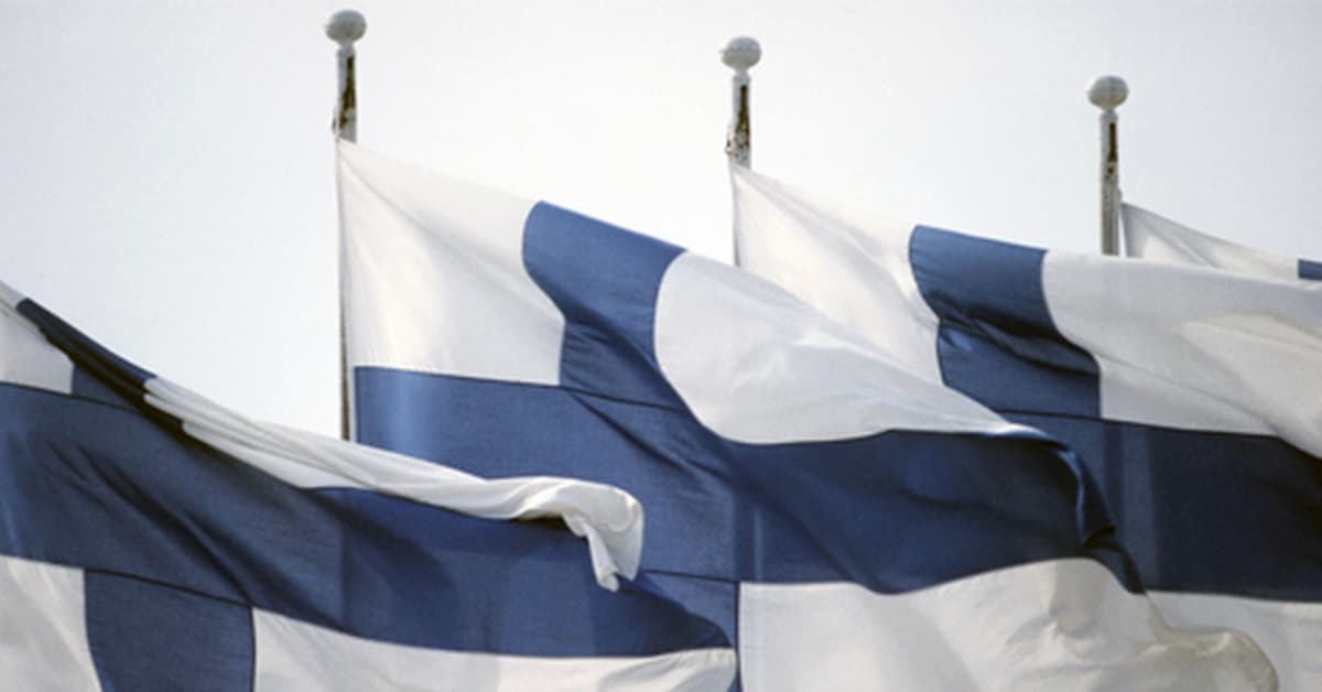 Midsummer Reminders | Yle