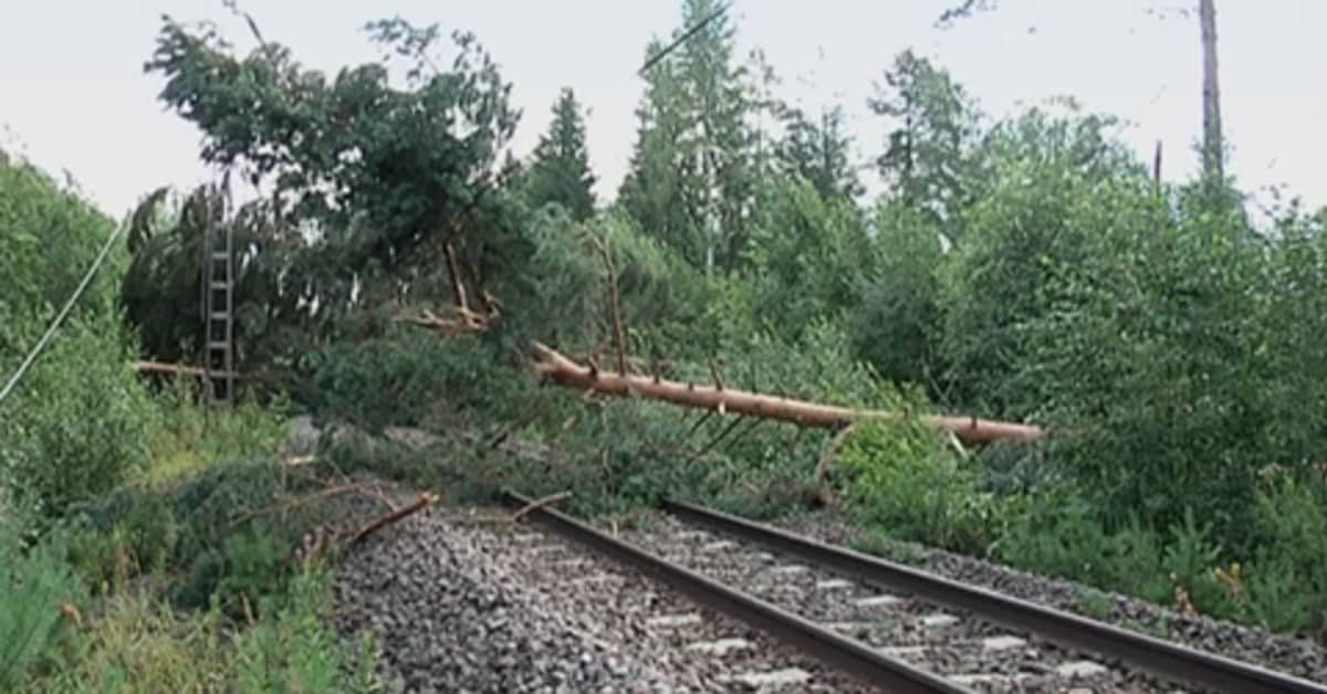 Train Tracks in East Cleared of Fallen Trees | Yle