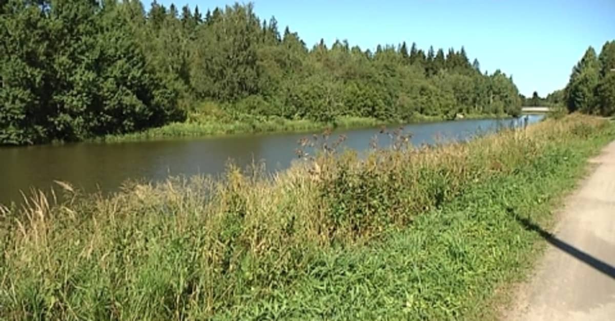 Jäteveden likaama Pikkukoski on jo puhdistunut | Yle