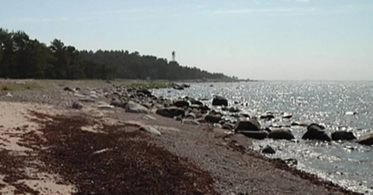 Länsi-Turunmaa vastustaa Örön väylää | Yle