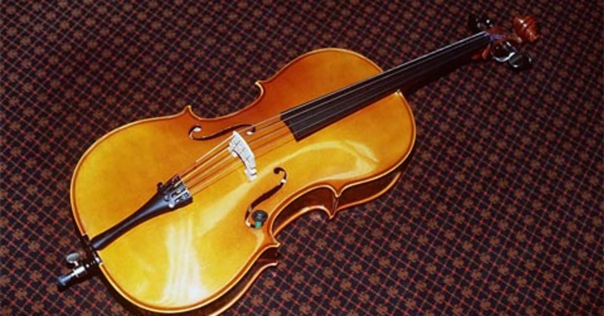 Sellolle pitää ostaa oma matkalippu | Yle