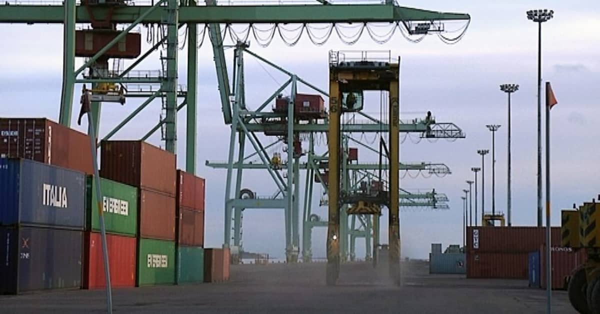 Balsteve: Irtisanottu ahtaaja otetaan takaisin töihin, tieto ...