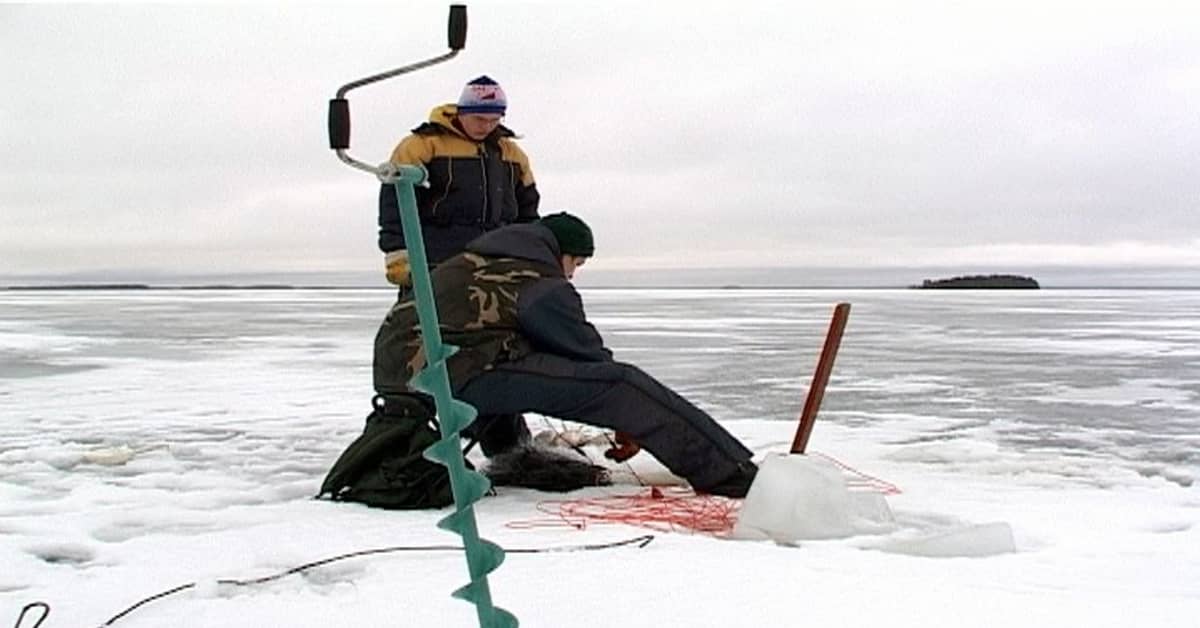 Kalamarkkinat tukossa | Yle