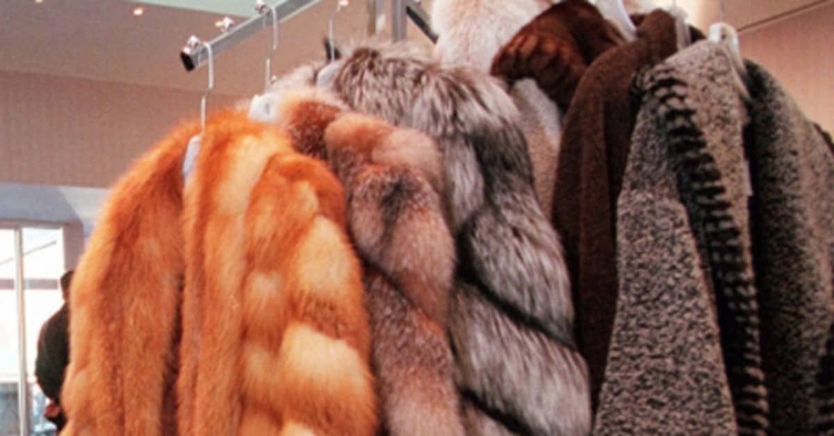 Fur sales generate millions in export duties | Yle