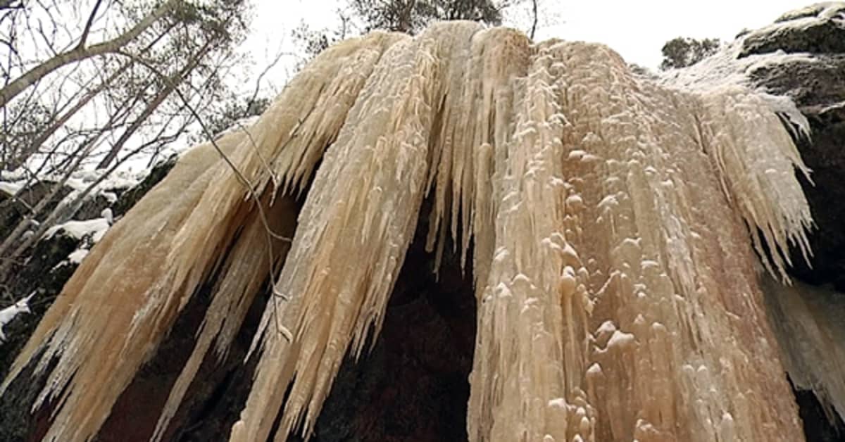 Repoveden kansallispuistossa uusi kävijäennätys | Yle