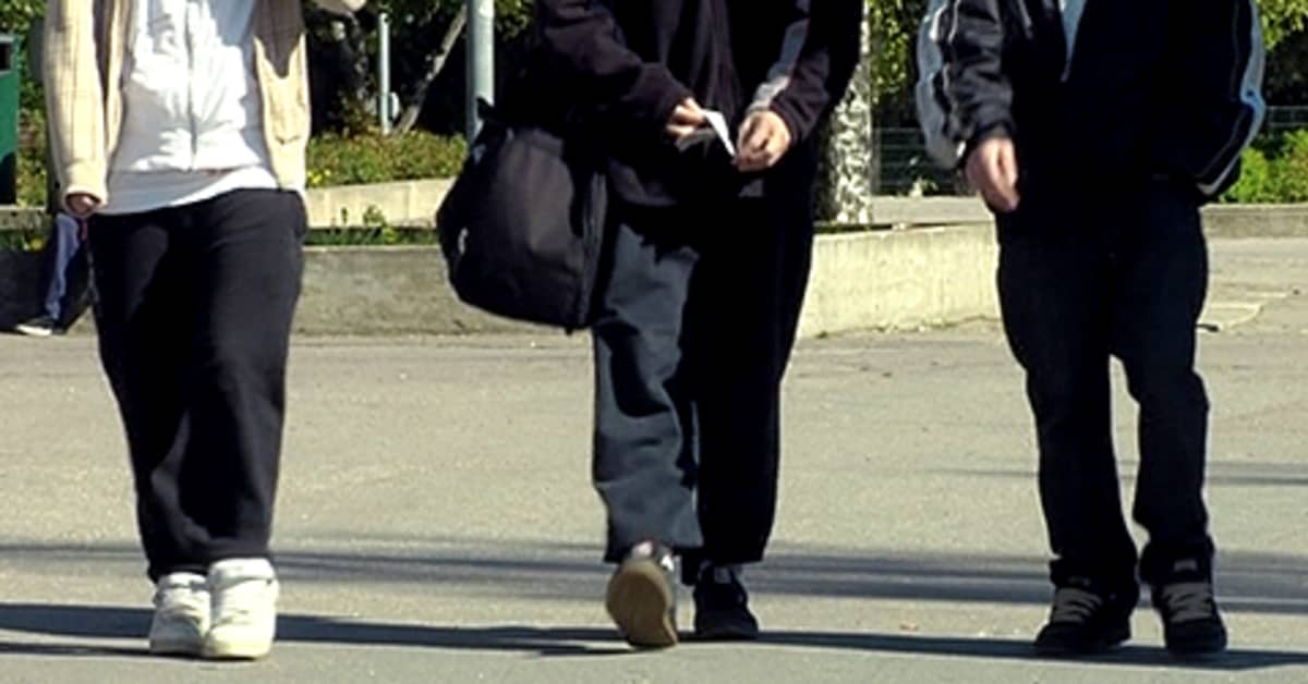 Helsinki police struggle to rein in youth gang | Yle