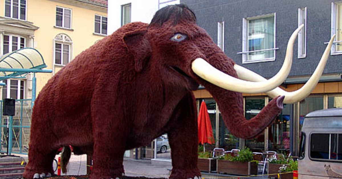 Mammutti parkkeeraa kävelykadulle | Yle