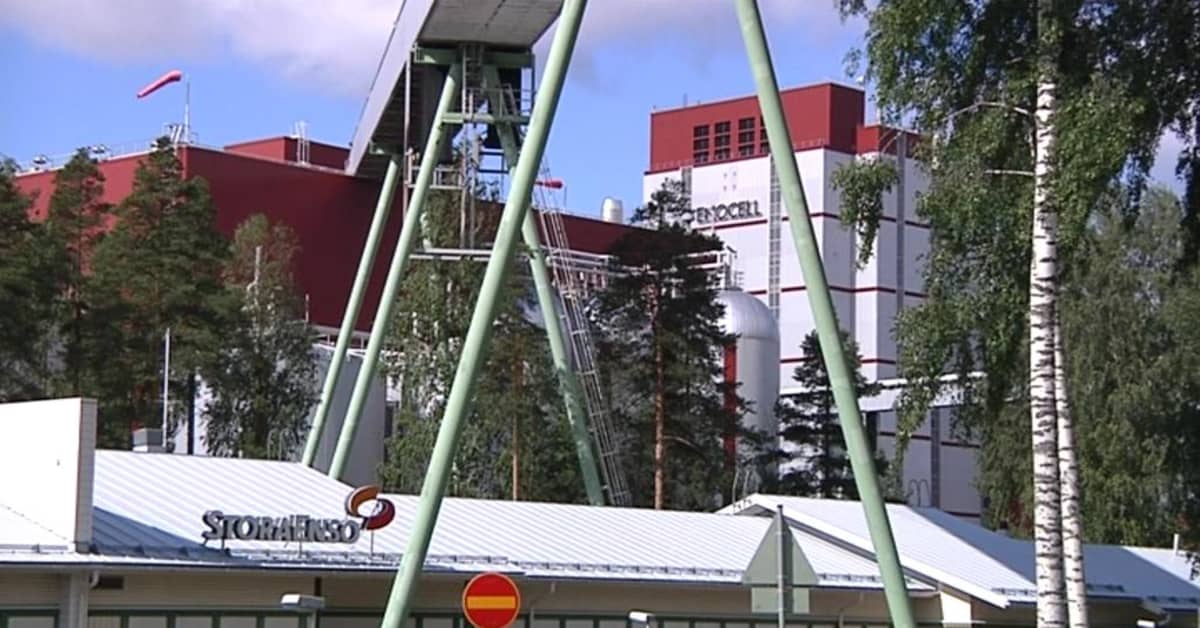 Enocell käynnistyy jälleen | Yle