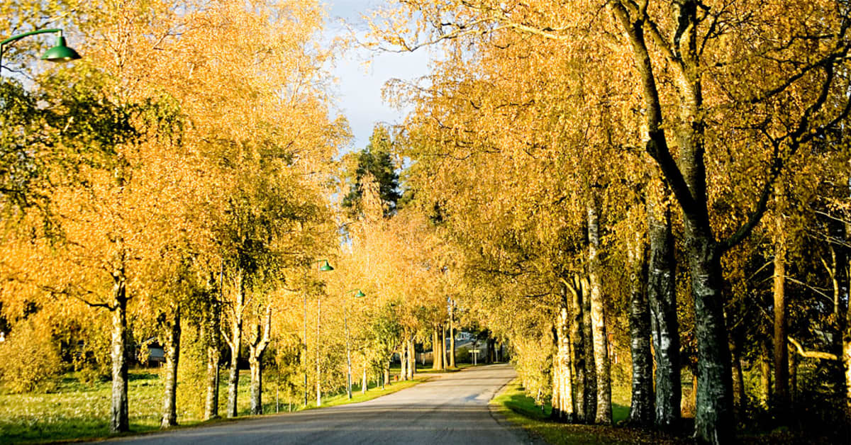 Syyskuun alku harvinaisen lämmin | Yle