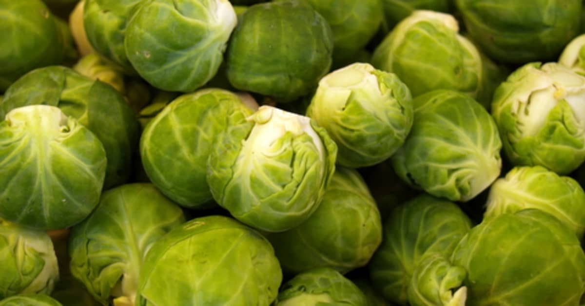 Ruusukaalin yliannostus vei sairaalaan | Yle