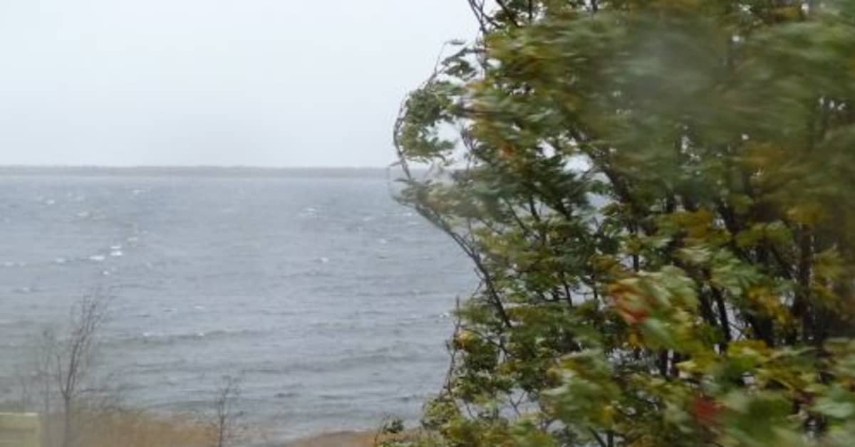 Tuuliatlas kertoo, minne tuuli kuljettaa | Yle