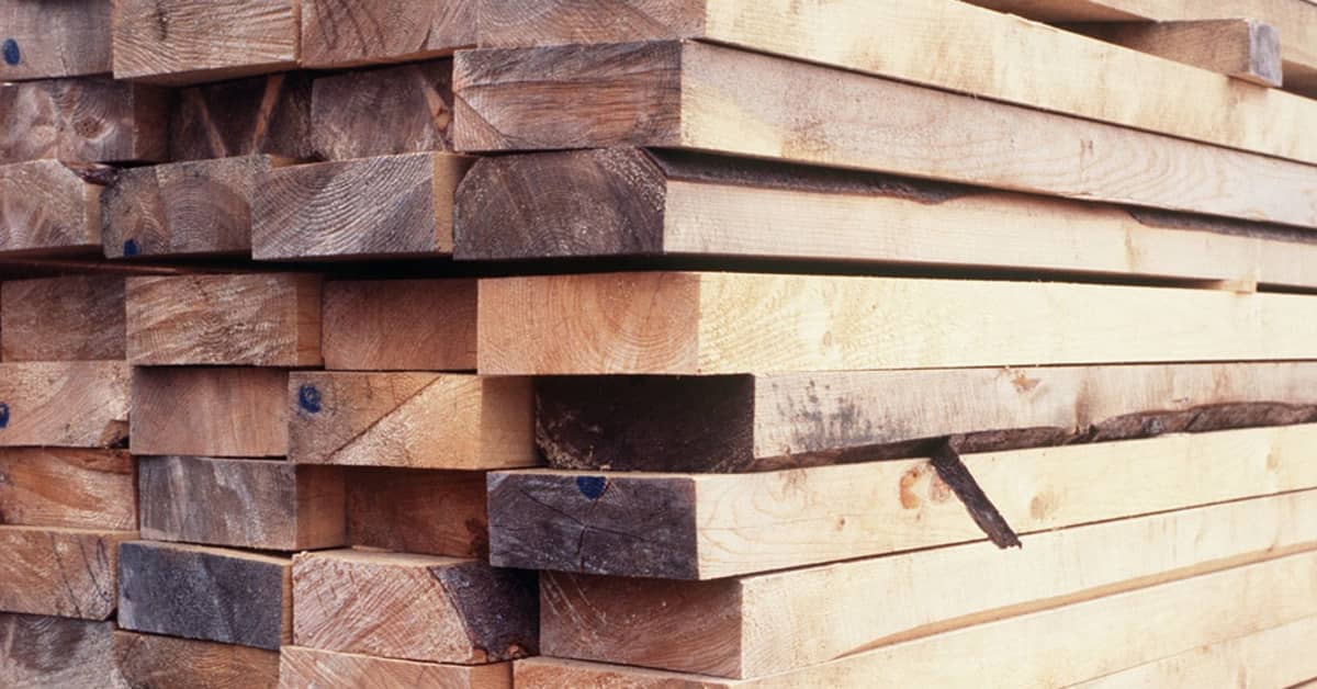 Suomalainen puu päätyy yhä useammin Pohjois-Afrikkaan | Yle