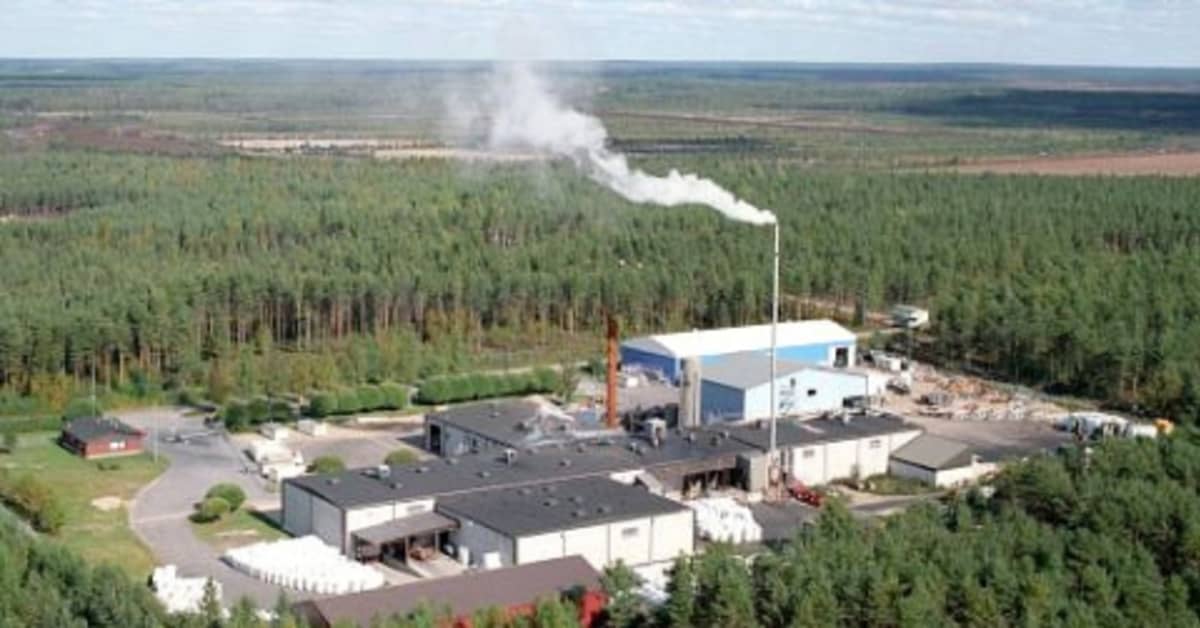 Honkajoki Oy vuoden logistiikkayritys | Yle