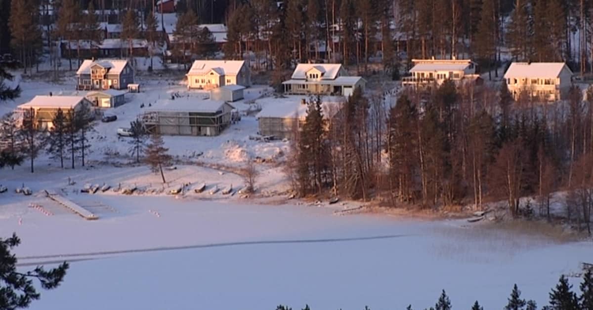Viitasaari etsii asukkaita puhelinsoitoilla | Yle