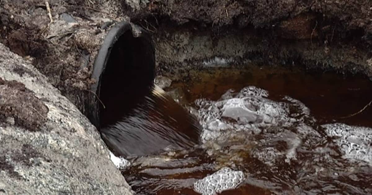 Onko turve syypää vesien huononemiseen? | Yle