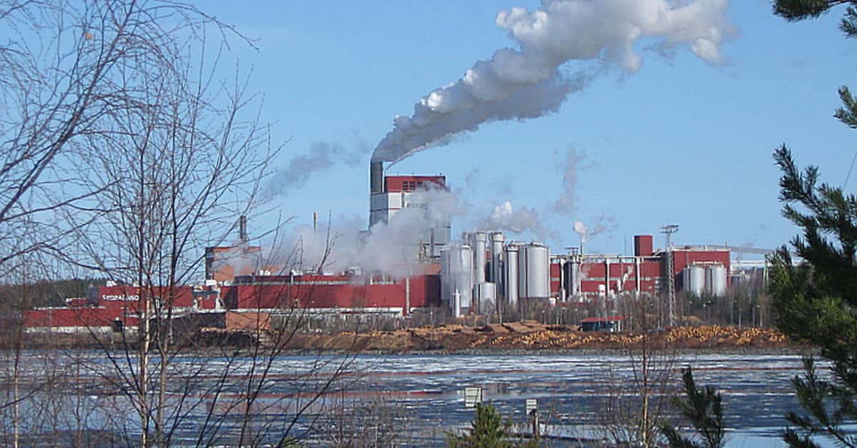 Enocell saa jälleen tuontipuuta Venäjältä | Yle