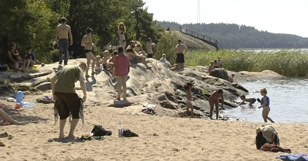 Finland ranks mid-table in EU beach cleanliness | Yle