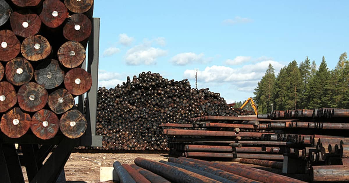 Iivari Mononen osti norjalaisen aitapaalujen valmistajan | Yle