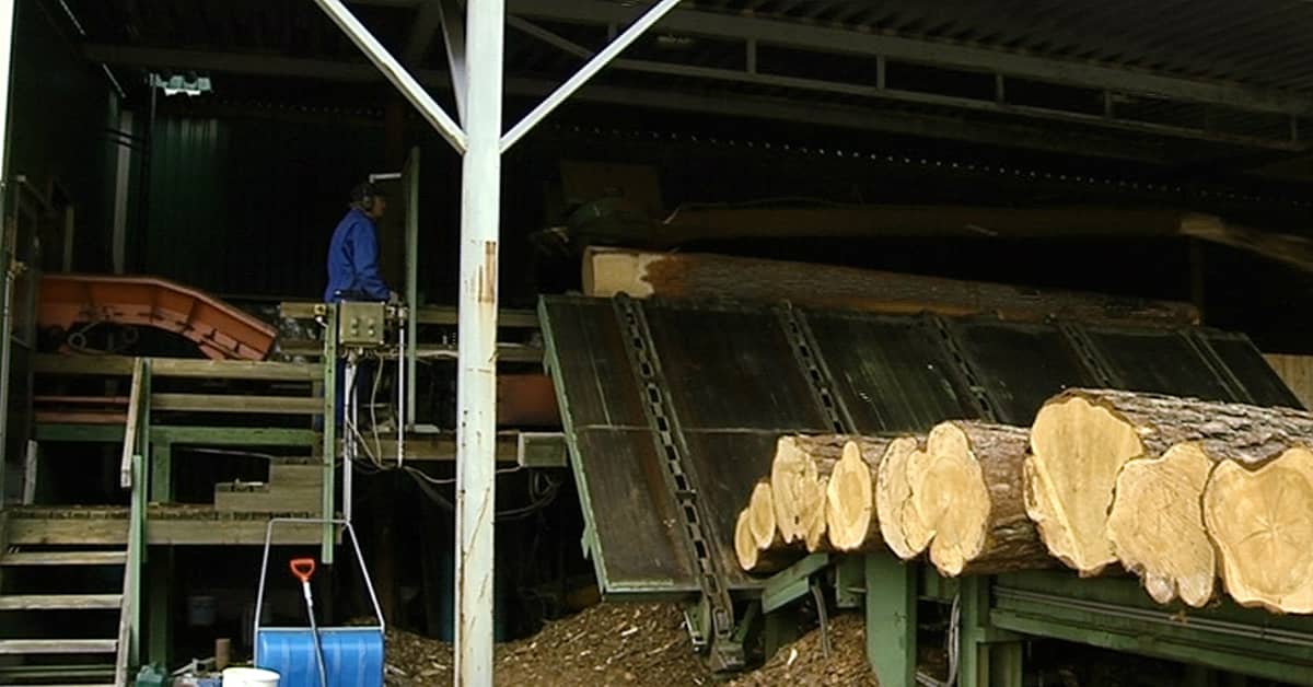 Suomalaissahoja ahdistaa taas | Yle