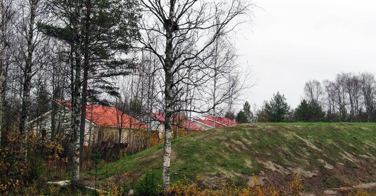 Meluvalli aiheuttaa kiistaa kaupungin ja asukkaiden välillä | Yle