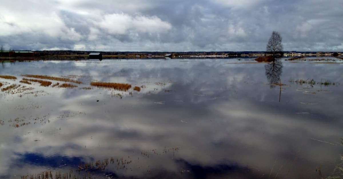Pohjanmaan tulva-alueen laajuudeksi arvioidaan yli 10 000 hehtaaria | Yle