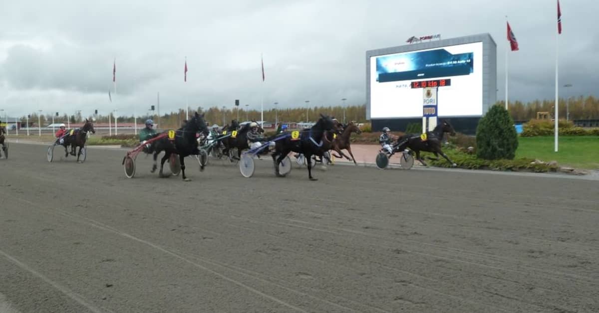 Porin raviradan johto: Fintoto syytä pitää omana peliyhtiönä | Yle
