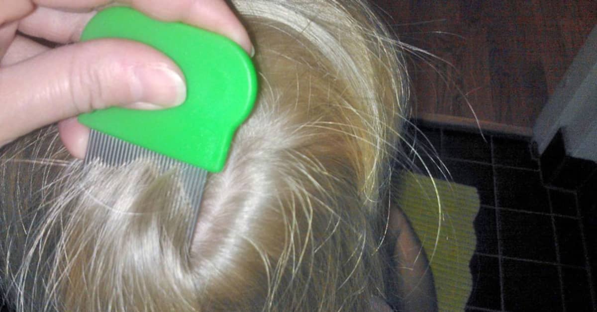 Vatsatautia, kihomatoja ja influenssaa – näin päiväkodit selviävät ...