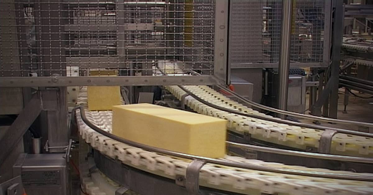 Edamin tuotanto ei kannata - Valio lomauttaa Vöyrillä | Yle