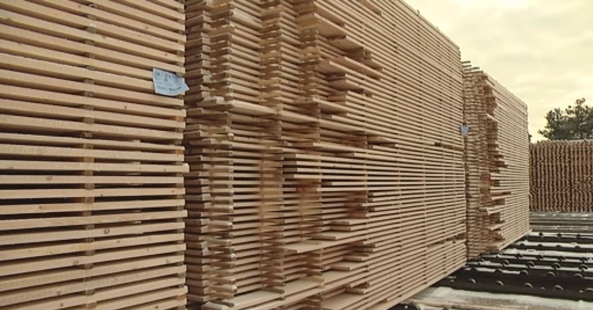 Pohjois-Suomen sahoilla ovat edessä tiukat ajat | Yle