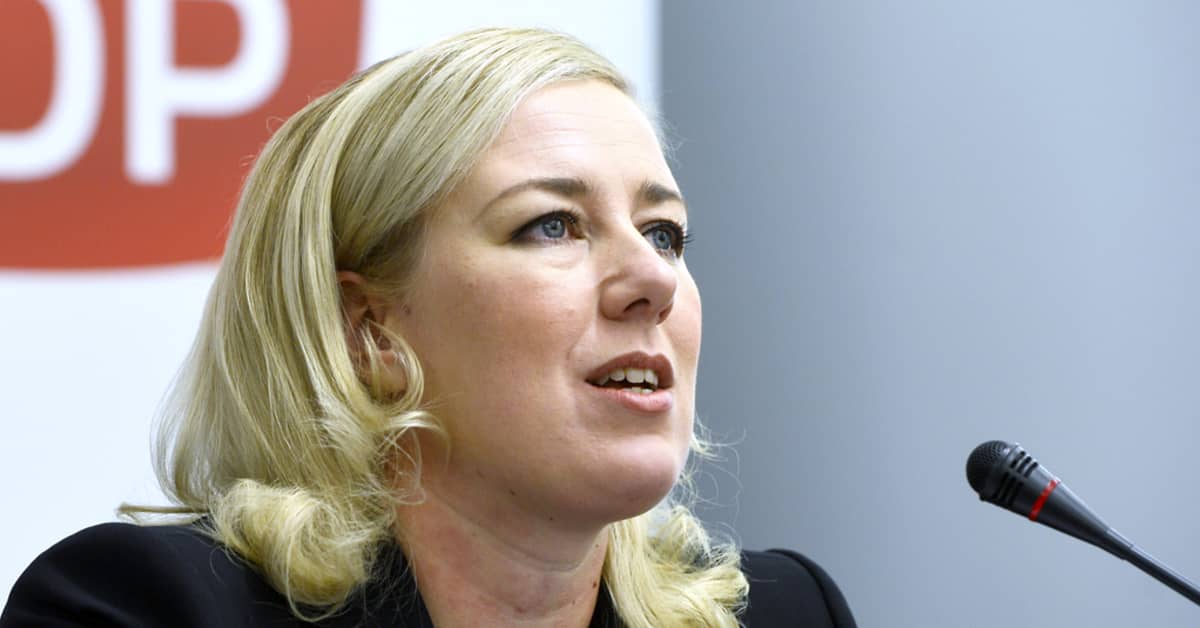 SDP leader: EU referendum not needed | Yle