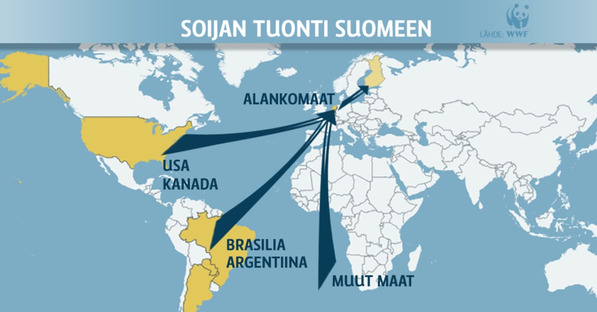 Vastuullisen soijan hyödyntäminen Suomessa vielä heikkoa | Yle