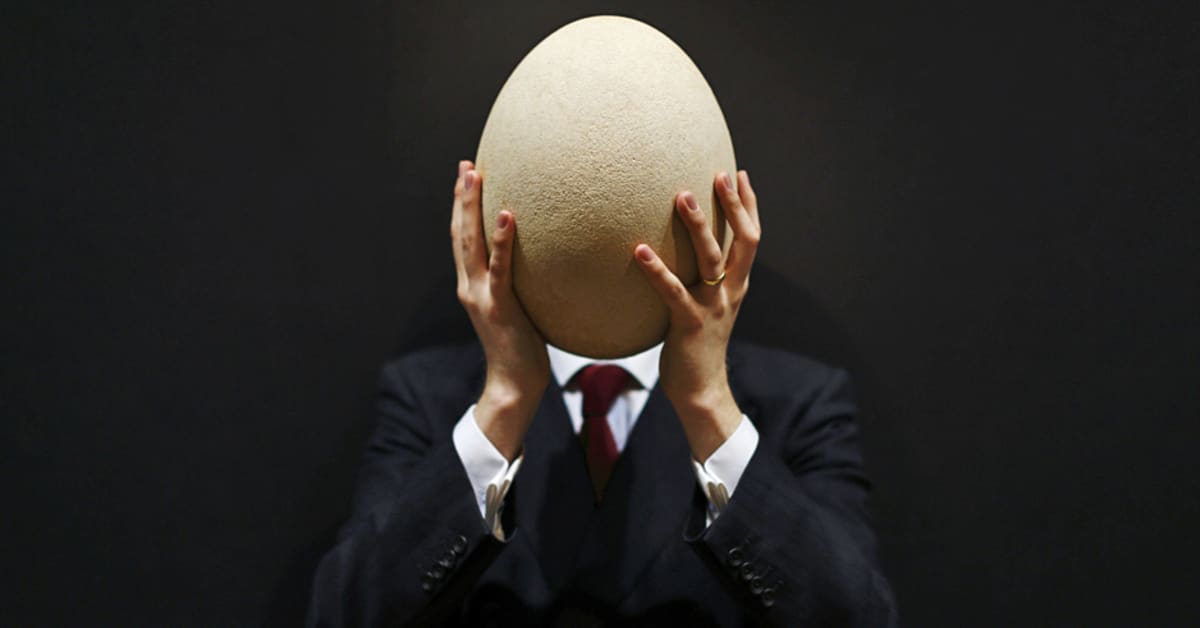 Norsulinnun muna ja viikon muut uutiskuvat | Yle