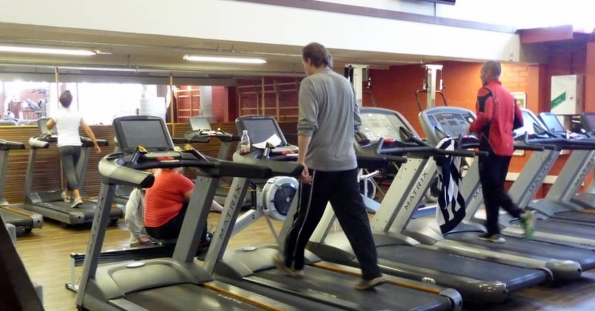 Tutkimus: Aerobinen liikunta kasvatti rotille uusia aivosoluja | Yle