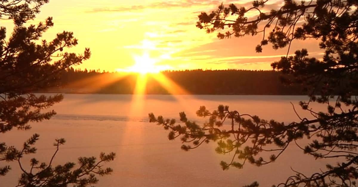 Davvi-Sámi luondduriggodatplána cealkináigi nohkamin | Yle