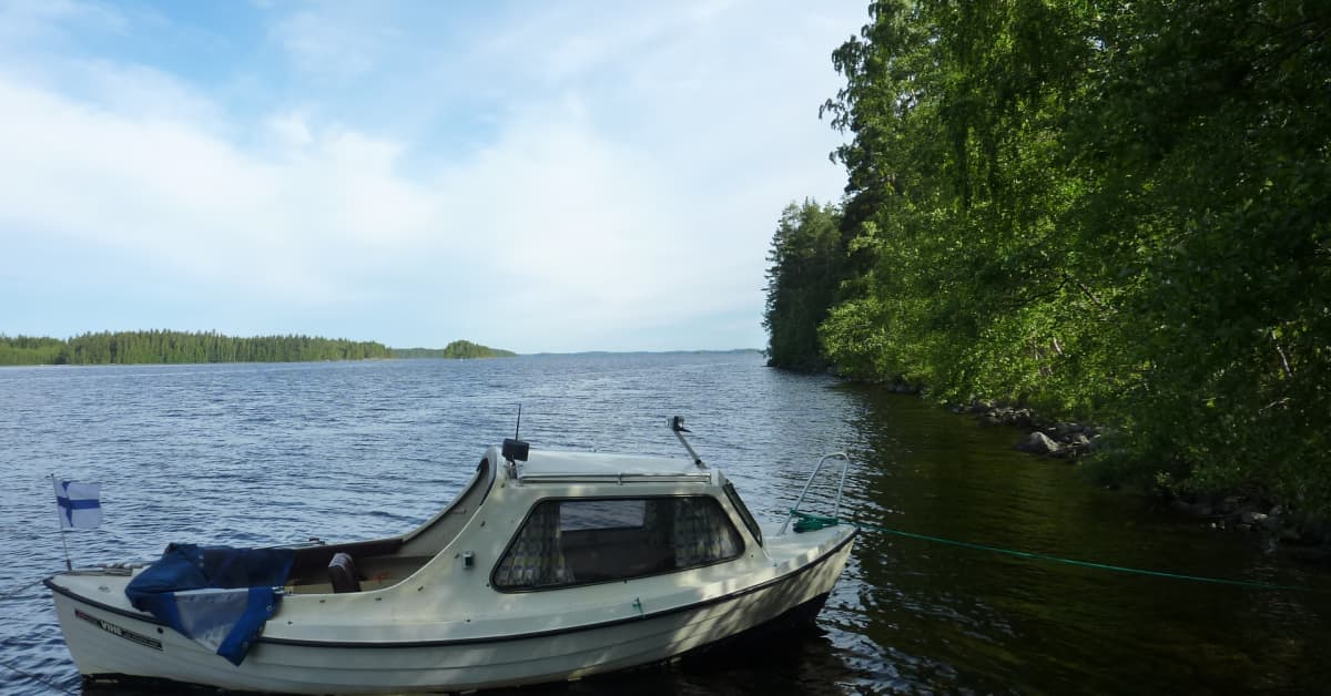 Puula tummuu, mutta ei vain humuksen vuoksi | Yle