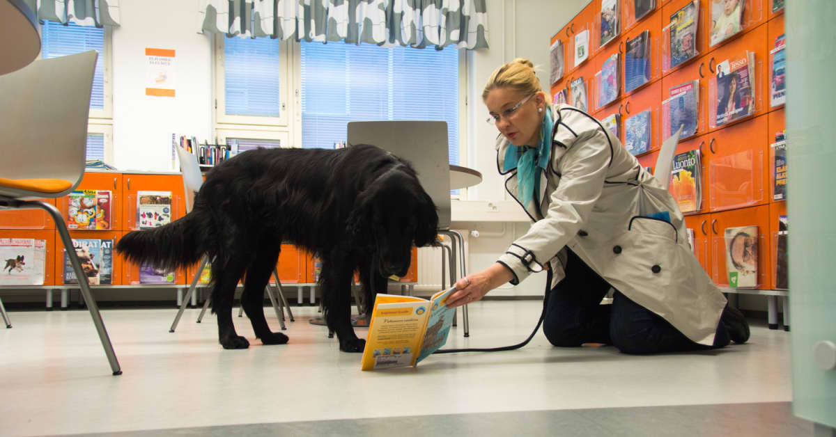 Lukukoira kuuntelee tarkkaan, mitä lapsi lukee sille | Yle