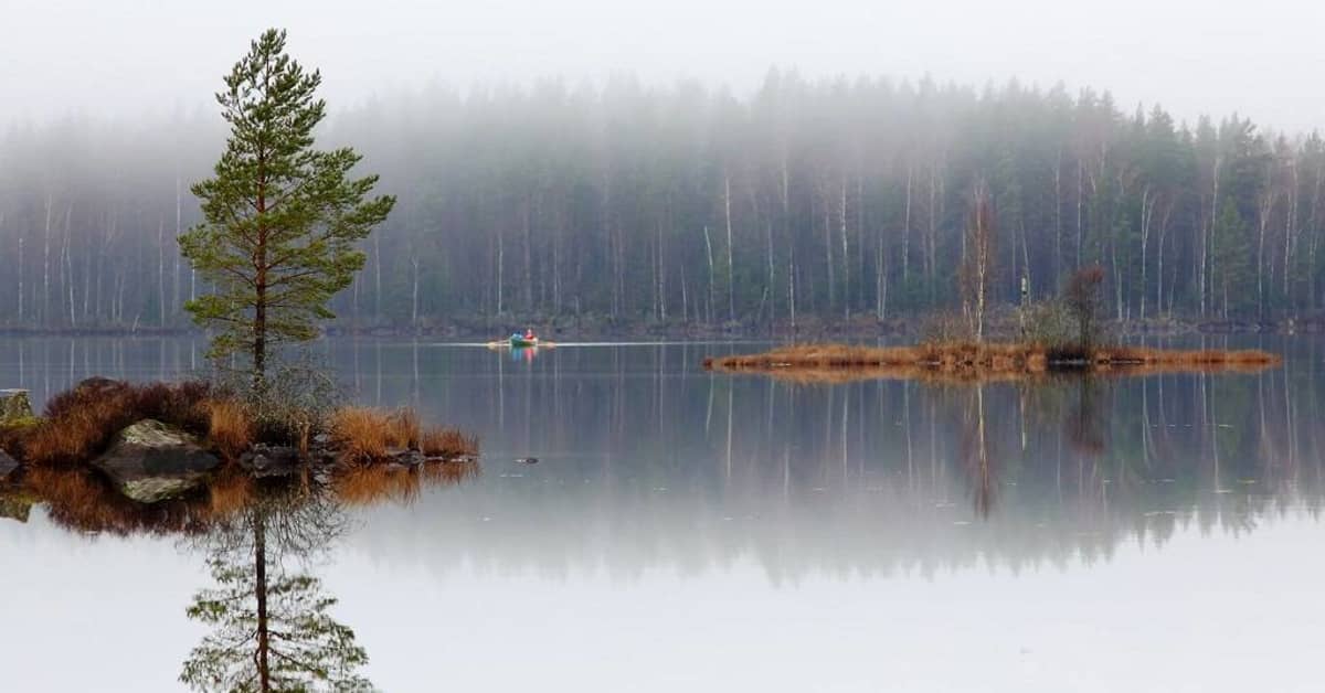 Photo Gallery: One misty, moisty morning... | Yle