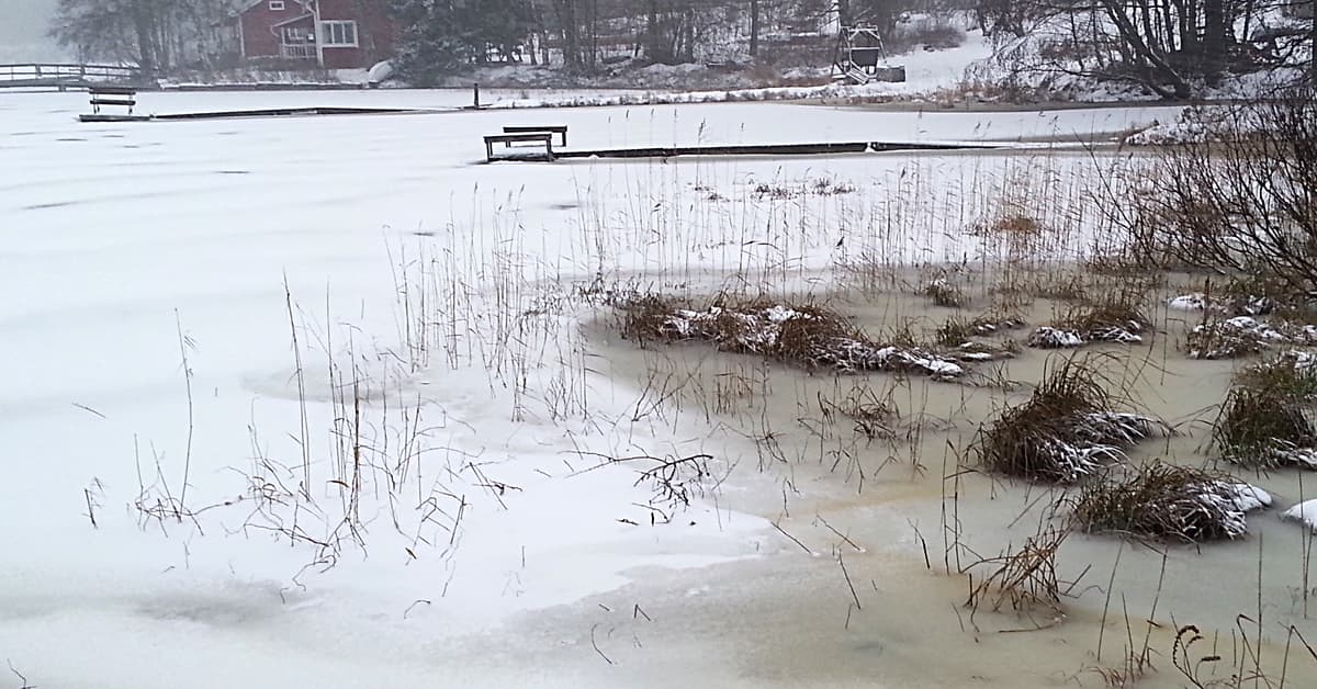 Weak ice warning for north | Yle