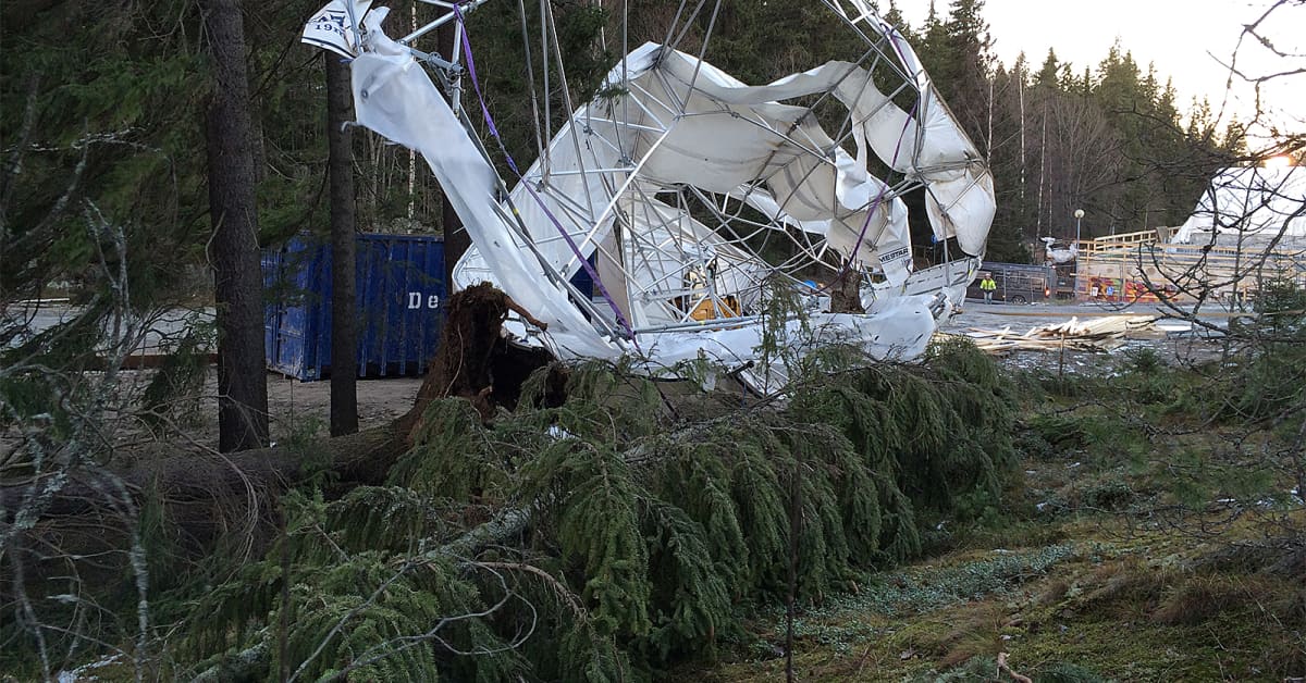 Utilities gear up for windy week | Yle
