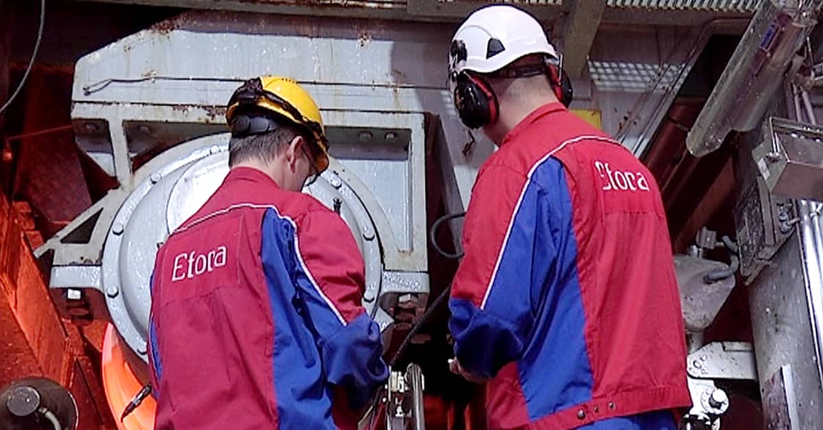 Efora employees the latest to feel the axe | Yle