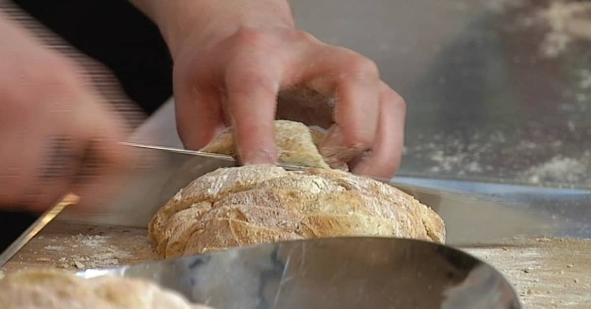 Hygieniatestejä räätälöidään jo lukuisille eri kielille – "Bakteeri voi ...