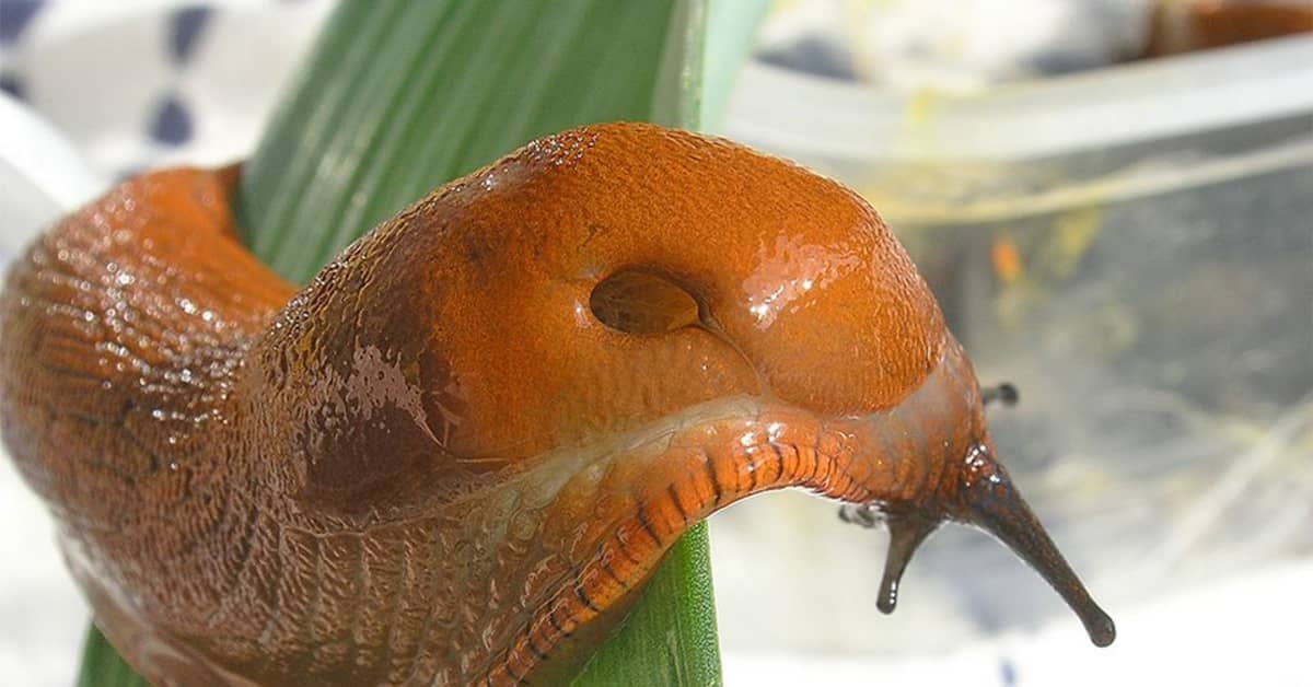 Wednesday's papers: Social contract poll, OSCE letdown, Patria ...