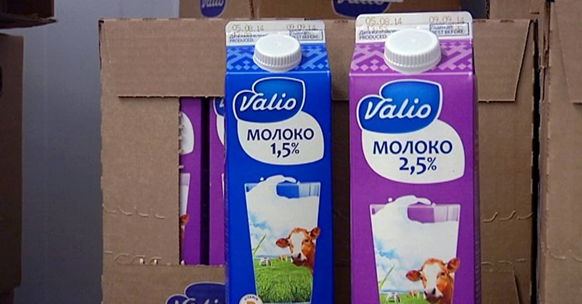 Finnish dairy to resume some exports to Russia | Yle