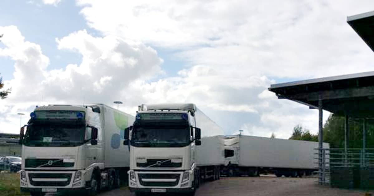 Valion rekat pääsivät viimein lähtemään rajalta | Yle