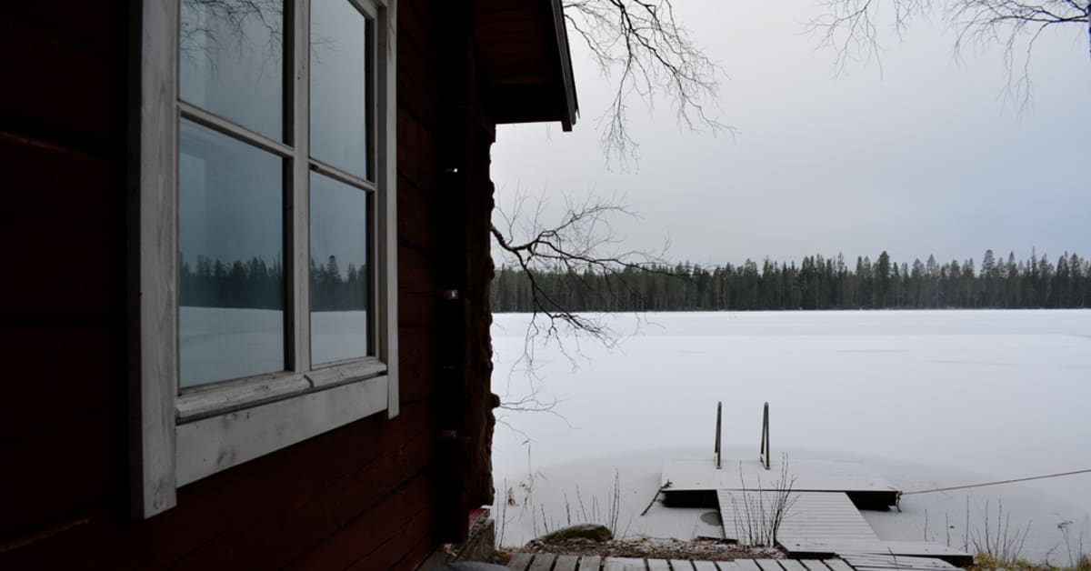 Mökillä on mukavaa, mutta miksi? Vastaus voi piillä puussa | Yle