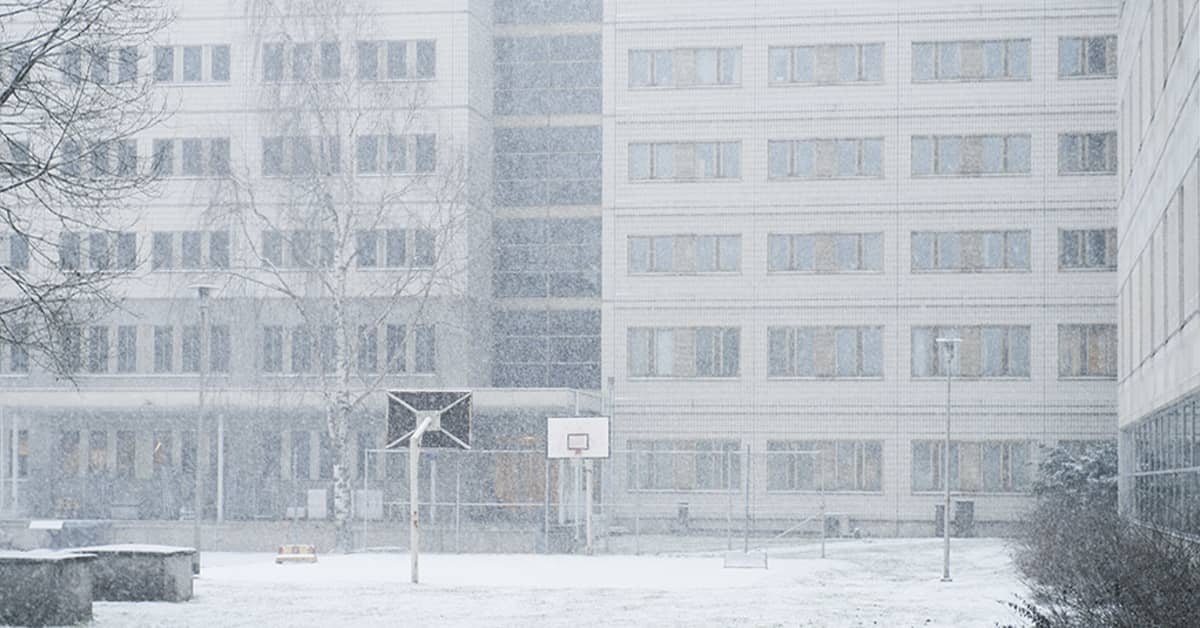 Terminen talvi alkoi etelässäkin | Yle