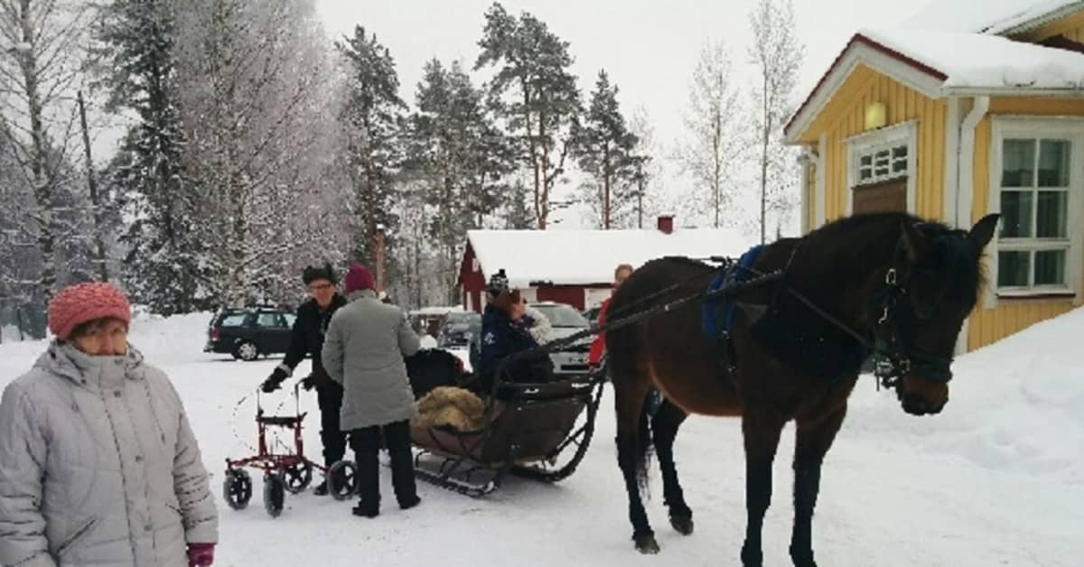 Niinilahden virkistyspäivä ruokki kaikkia aisteja | Yle