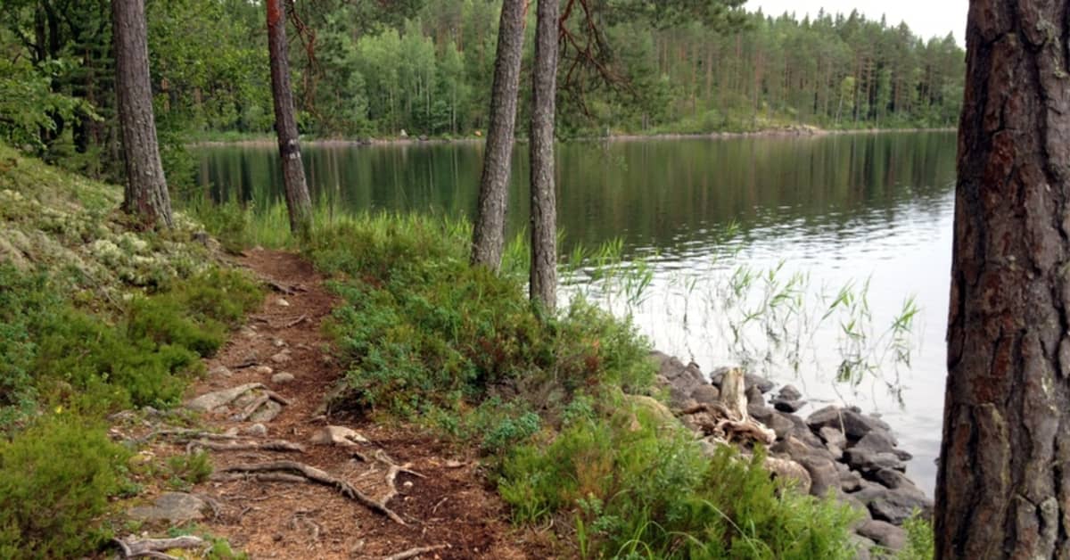 National parks popular but poorly maintained | Yle